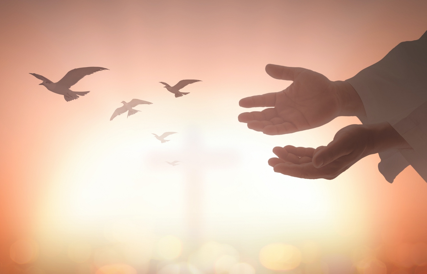 Cora Evans - The Golden Age and Mystical Indwelling – Countdown to the ...