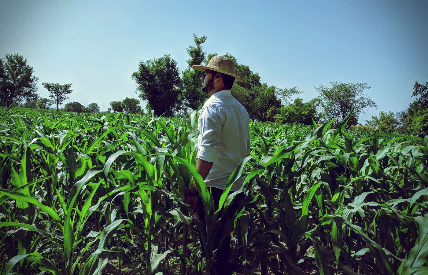 Luz - You Will Go Back to Subsistence Living – Countdown to the Kingdom