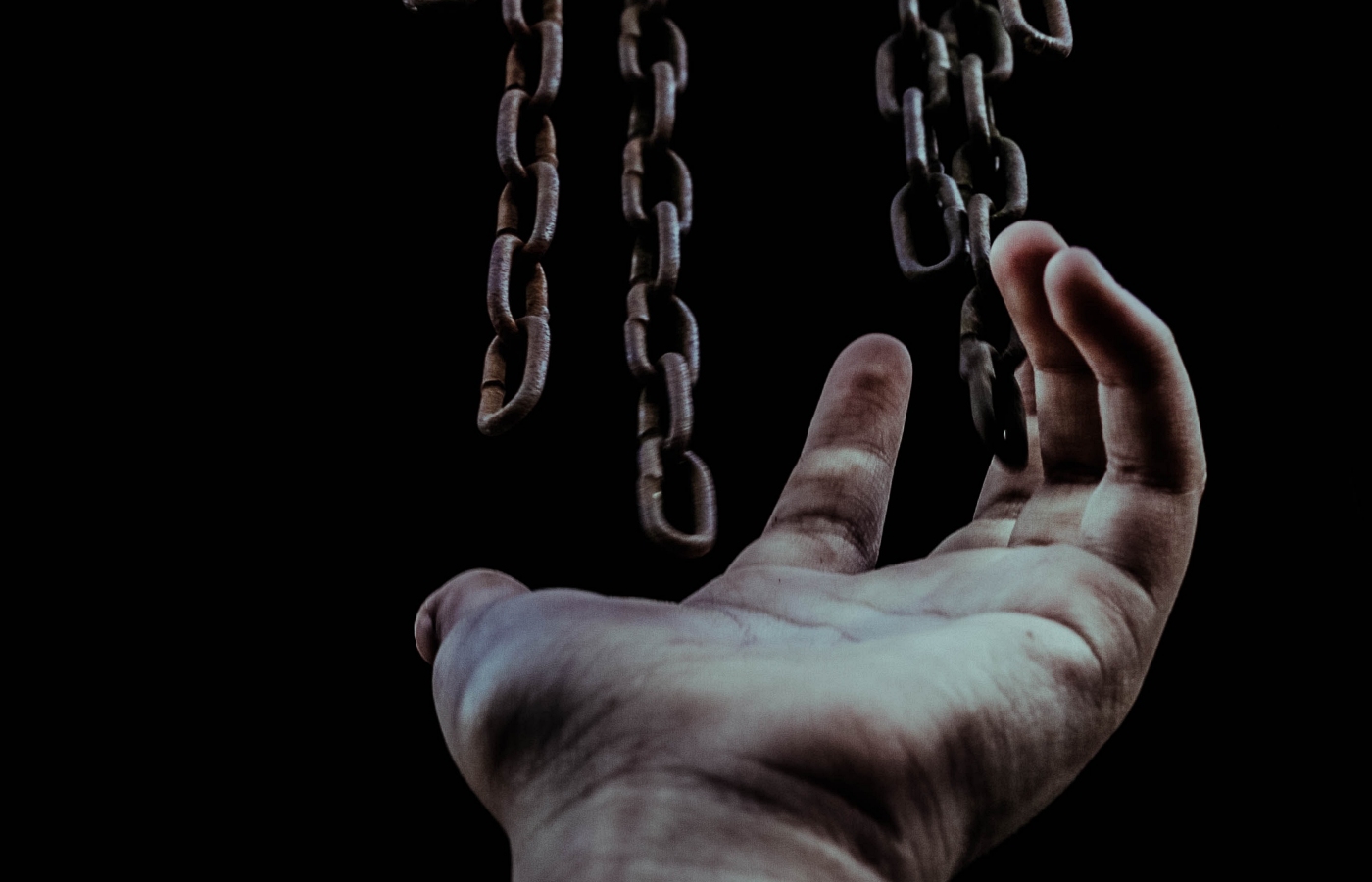 Pedro - Do Not Throw Away Freedom – Countdown to the Kingdom