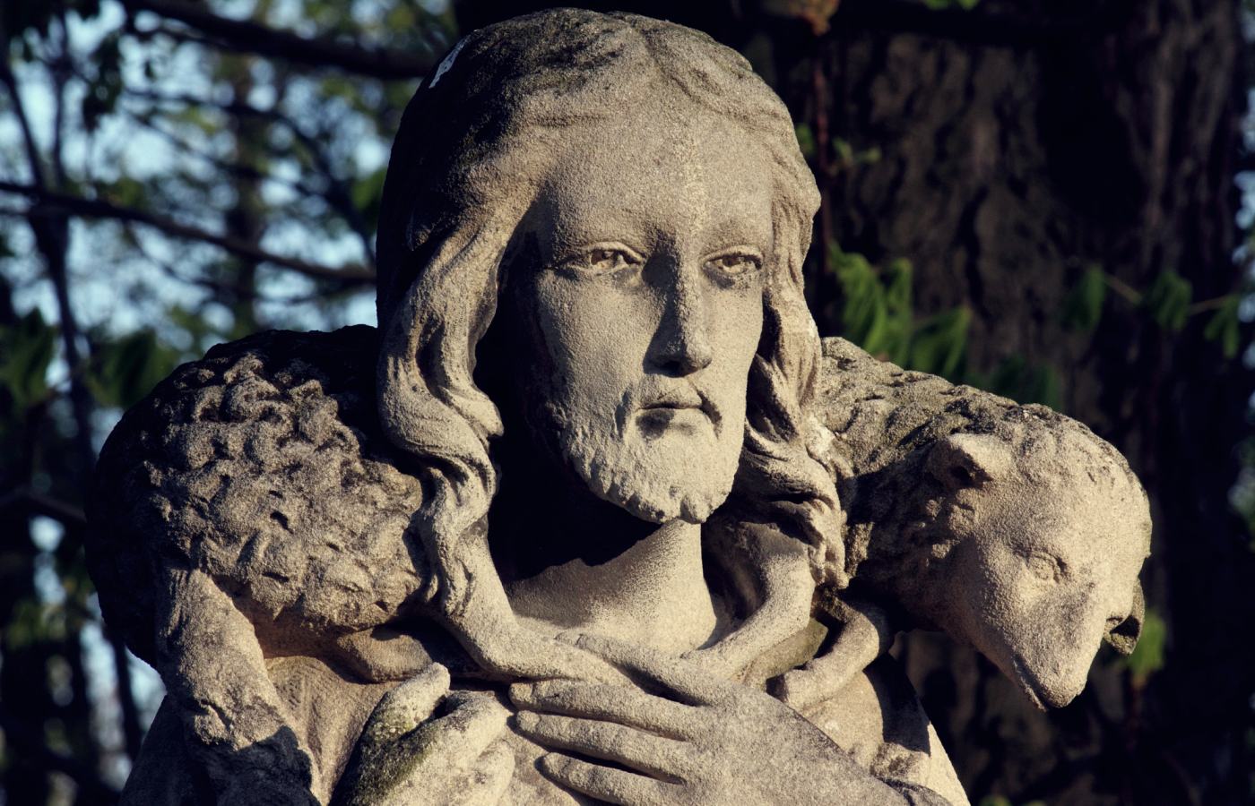 Simona - Be One Fold Under One Shepherd – Countdown to the Kingdom